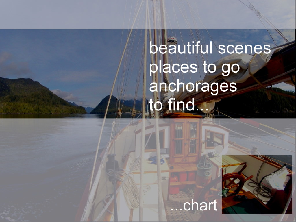 SealLine map case perfect for navigation charts | Schooner Chandlery