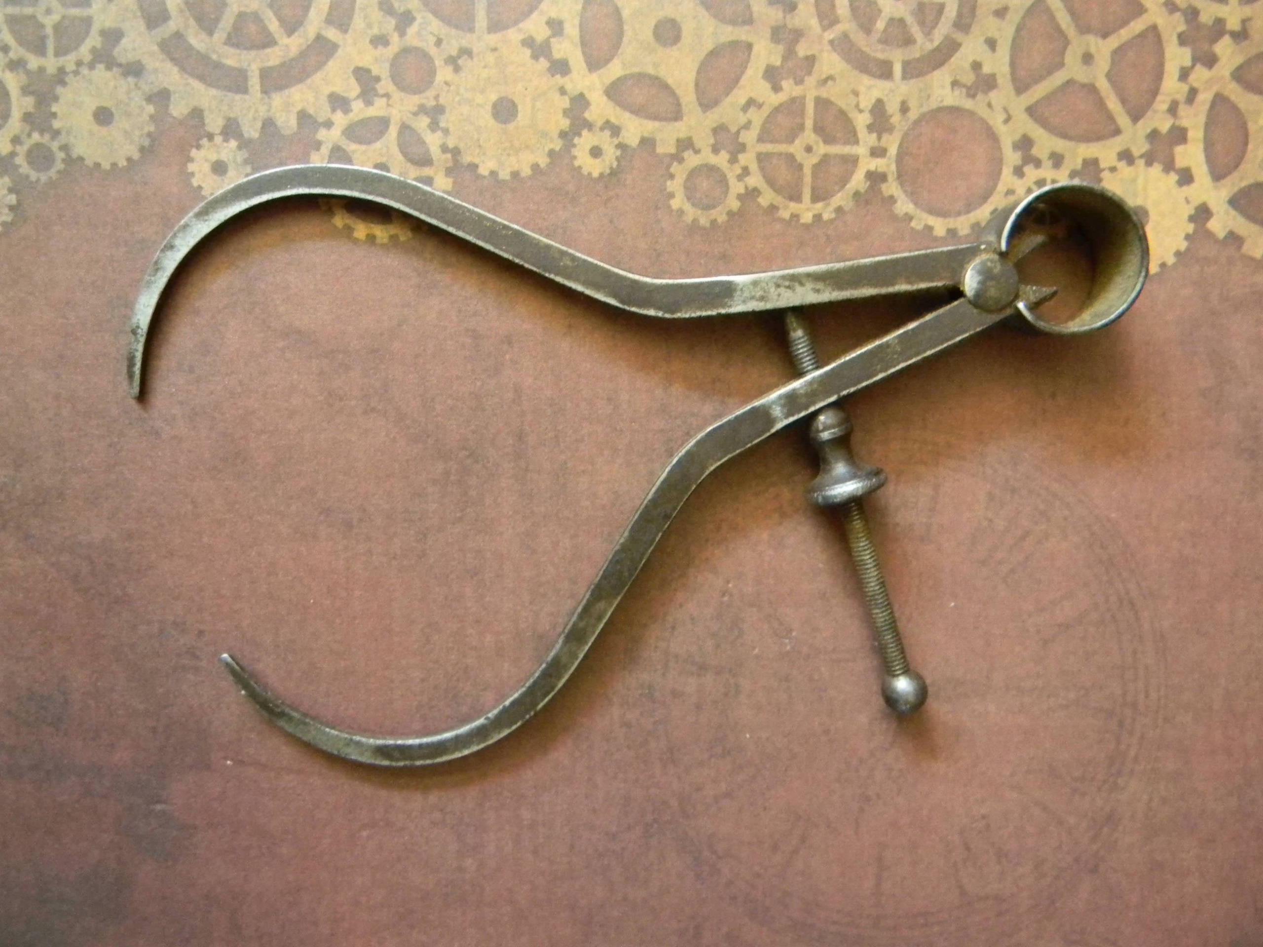 Antique Steel Caliper Tool. Adjustable Caliper or Curved Dividers. In ...
