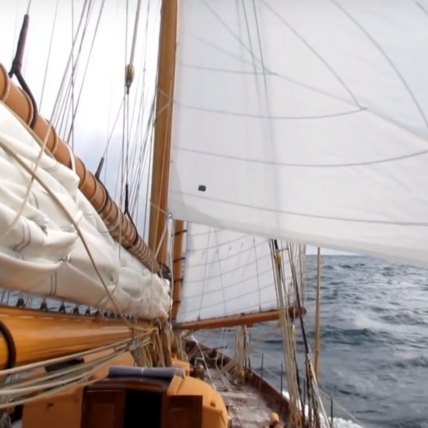 SealLine map case perfect for navigation charts – Schooner Chandlery