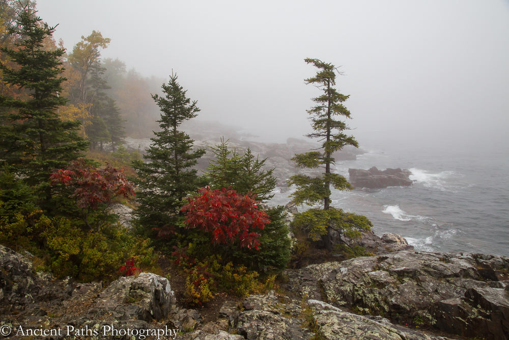 Schooner Head in Fall Colors, Acadia National Park, Red,Rocks,Ocean ...