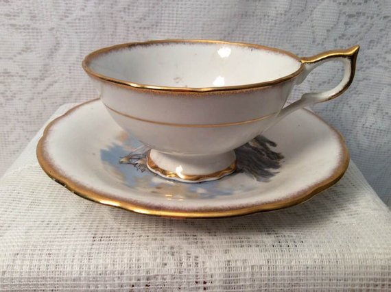 Beautiful Vintage Salisbury Bone China made in England Cup and Saucer ...