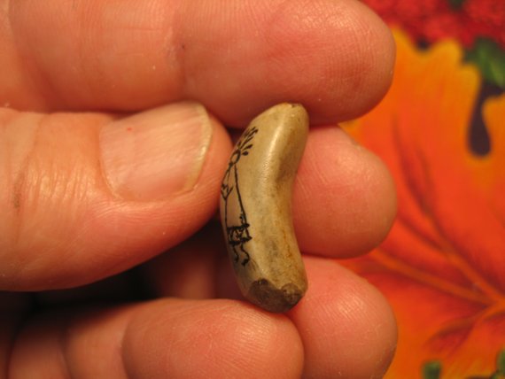 Anasazi pictograph scrimshaw fossil curved tooth reproduction bead ...