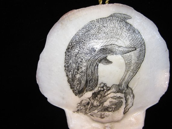 Humpback Whale on Maine Scallop Shell | Schooner Chandlery