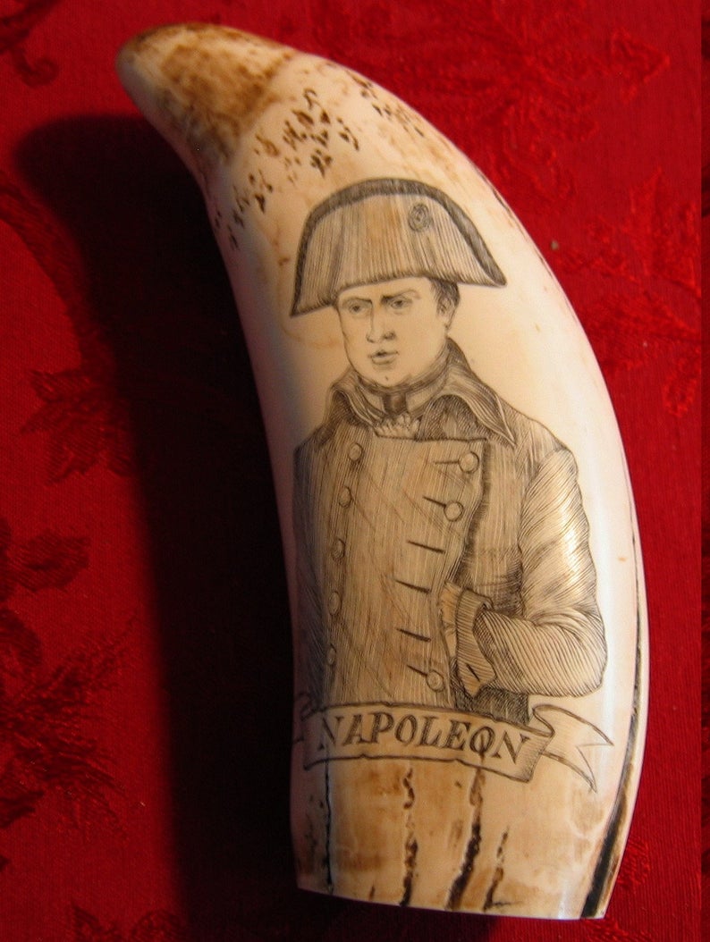 SPERM WHALE Tooth Faux (resin) Huge Portrait of NAPOLEON plus Gun Crew ...