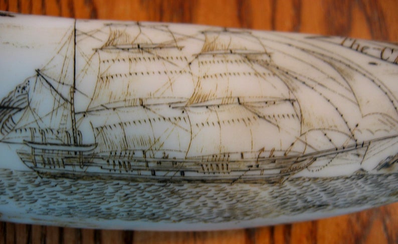 SPERM WHALE Tooth Faux (resin) Nantucket Ship CATALPA and Widow's Watch ...