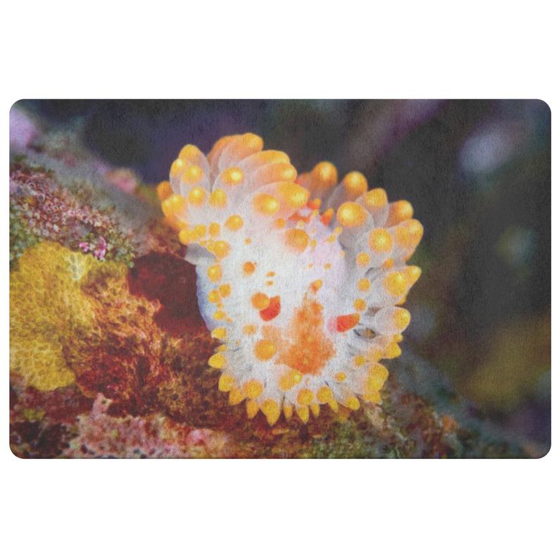 Cockerell's Dorid Nudibranch Photo Doormat/ Floor Mat - Sea Slug ...