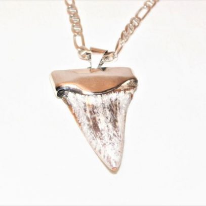 2 Inch Shark Tooth Set In Solid 925 Sterling Silver Pendant W 20.5 Inch ...